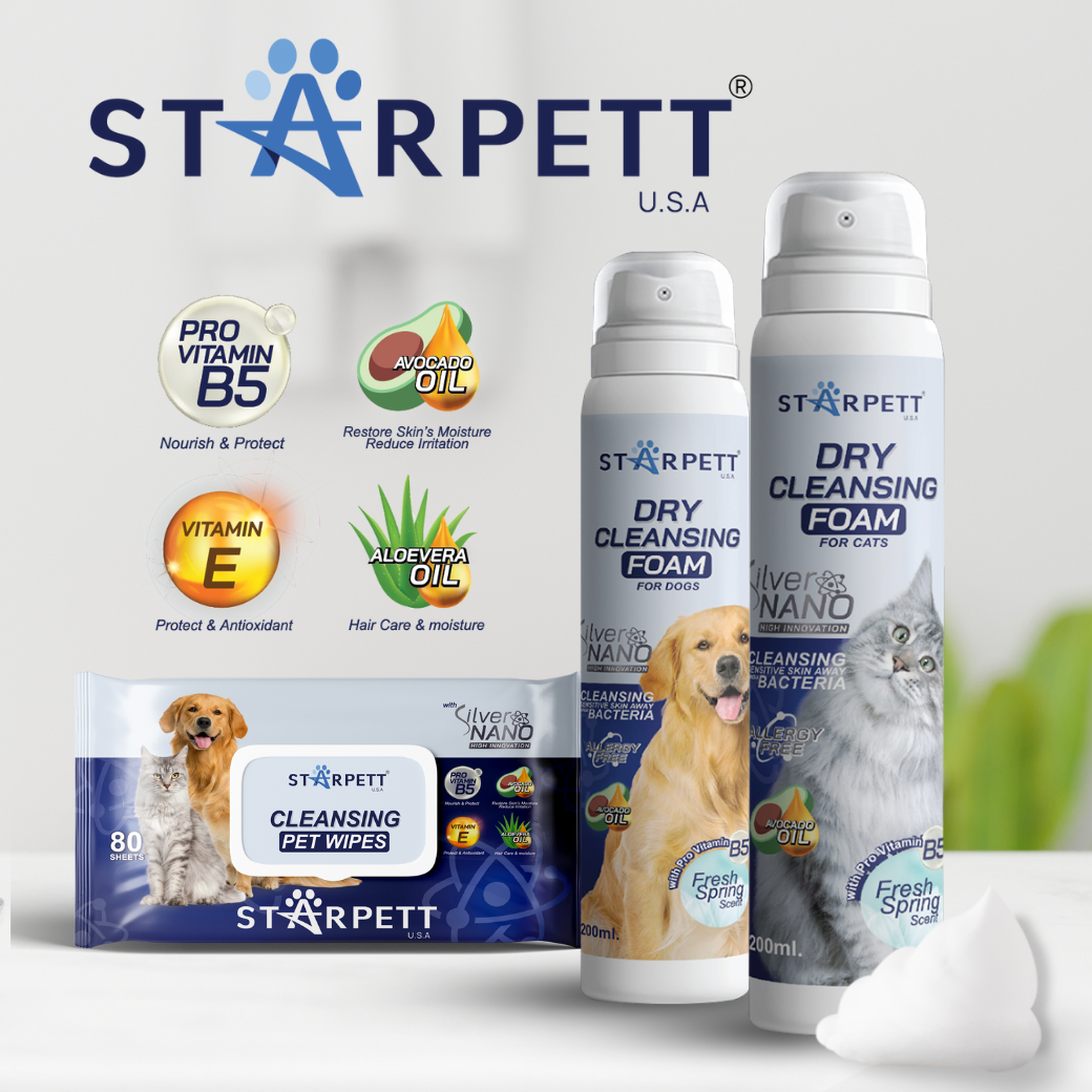 STARPETT – Click Design Studio